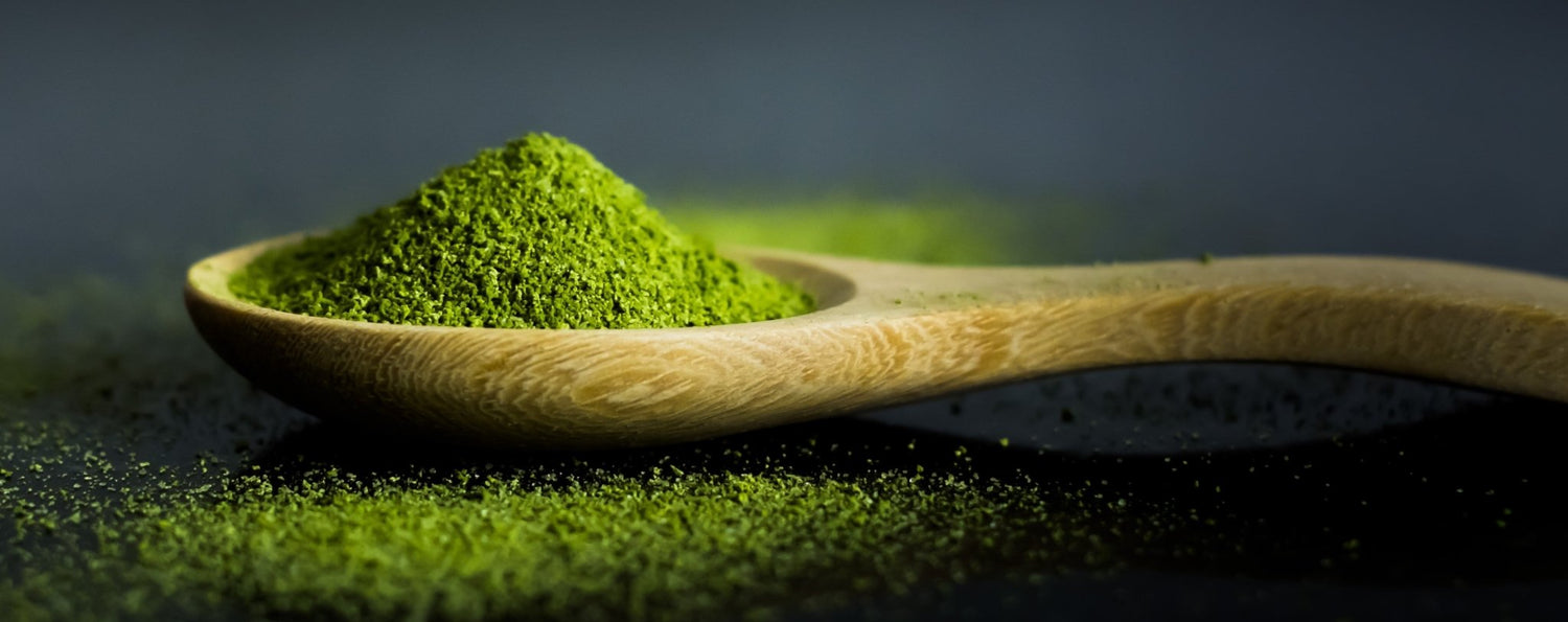 5 Things To Know About Matcha – River & Stone Tea
