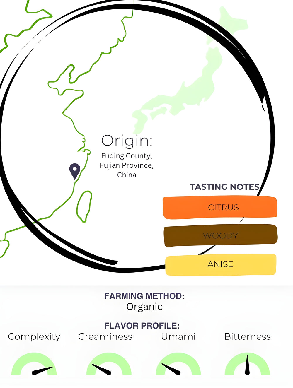 Diancha "White Matcha" - 20g Tin – River & Stone Tea